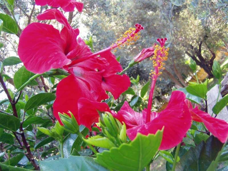 Oludeniz, Turkey, The Blue Lagoon & More Things to Do