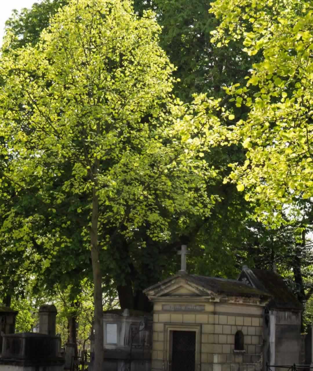 Unusual Things To Do in Paris that Will Make You Book a Flight Right Now