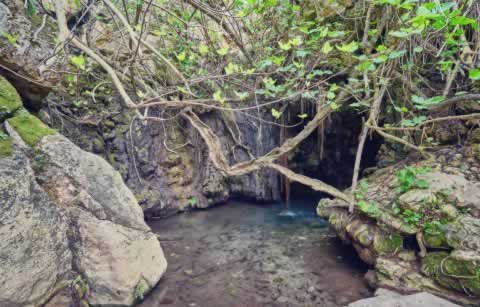 Aphrodite Baths Tours from Paphos, Cyprus