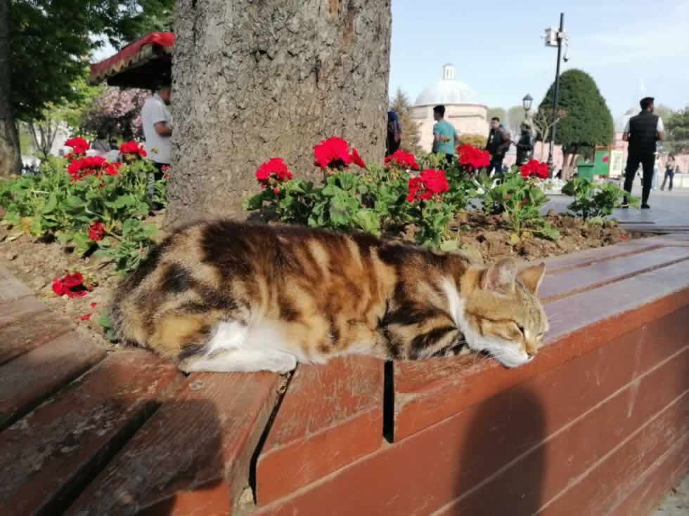 Istanbul in April: Best Time To Explore the City